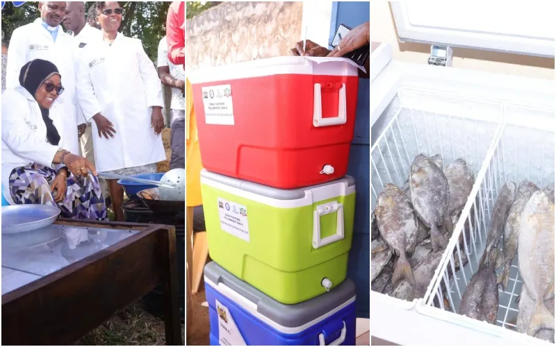 Boosting blue economy: Kwale County distributes fish value-addition ...